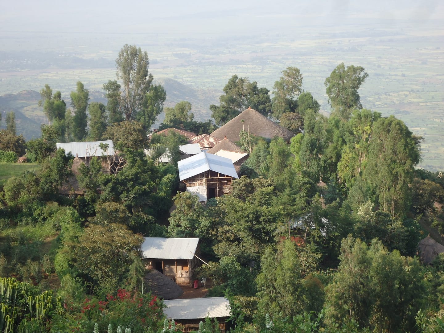 MESAL THE PLACE OF RECONCILIATION IN ETHIOPIA - Joram Jojo