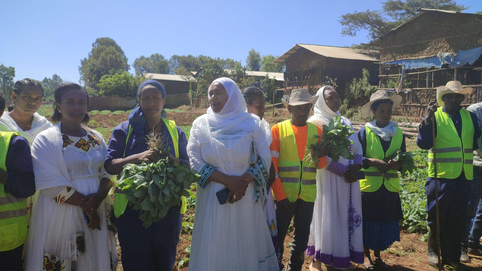 WESTERN GOJAM WOMEN IN ORGANISED AGRICULTURAL WORK - Joram Jojo