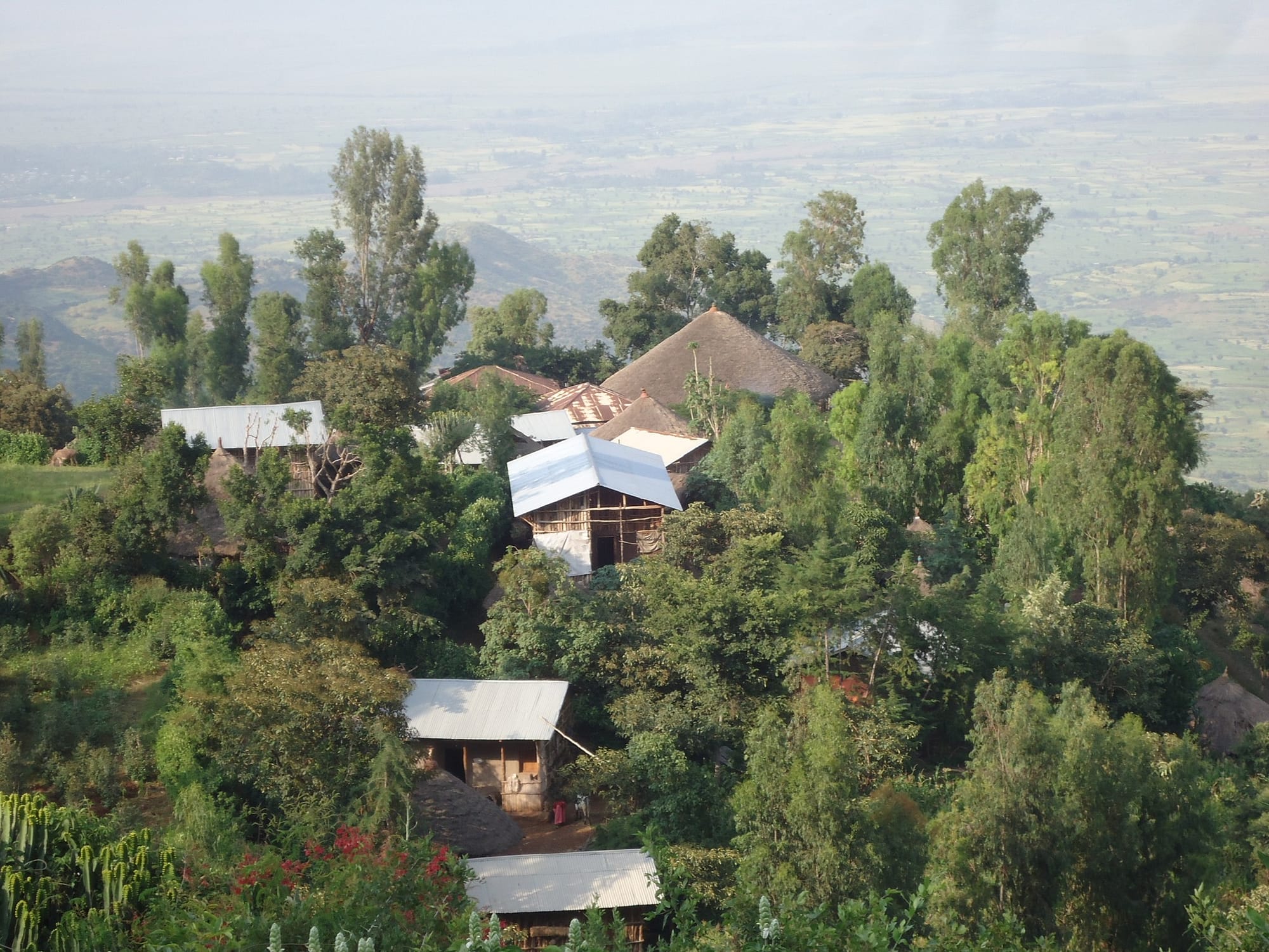 MESAL THE PLACE OF RECONCILIATION IN ETHIOPIA - Joram Jojo